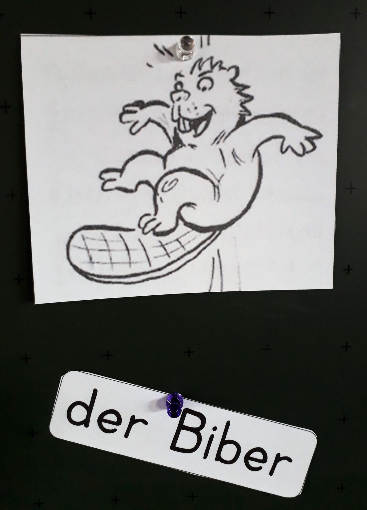 Projektwoche zum „Welttag des Buches“ – Grundschule Viereth-Trunstadt